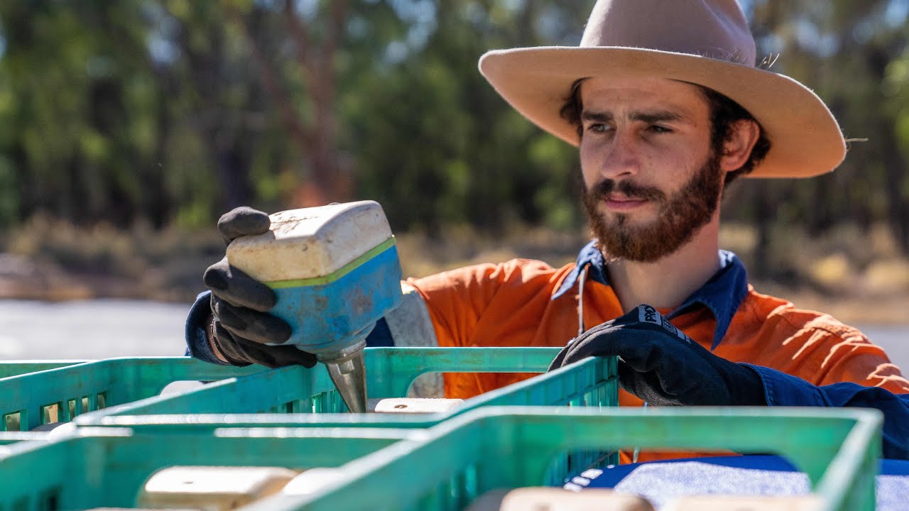 Data Driven Discoveries in the Adavale Basin - YouTube