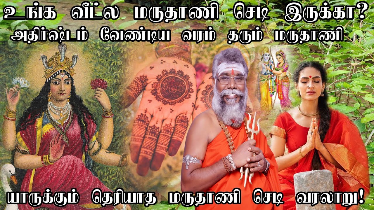 எமனிடம் வரம் பெற்ற மரம் செடிகளின் முன்ஜென்ம கதைகள் | Previous birth ...