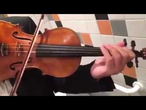 VIRAL!!! SUARA DESAHAN BIOLA