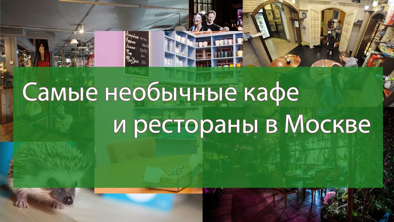 Самые необычные кафе и рестораны в Москве Youtube