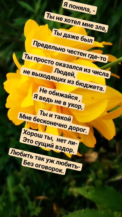 "Дорог.."В.Тушнова - YouTube