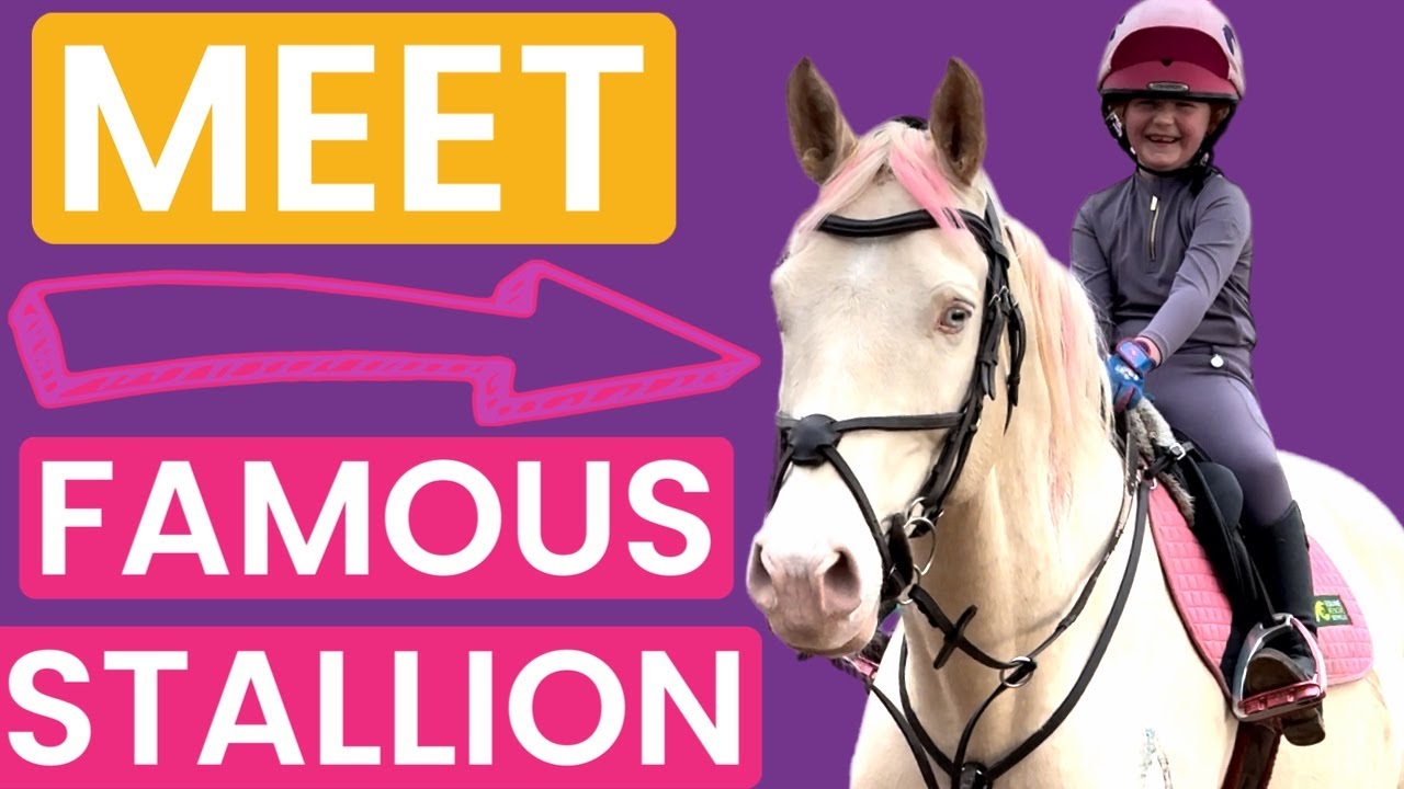 Meet the FAMOUS STALLION and ride with IVY - YouTube