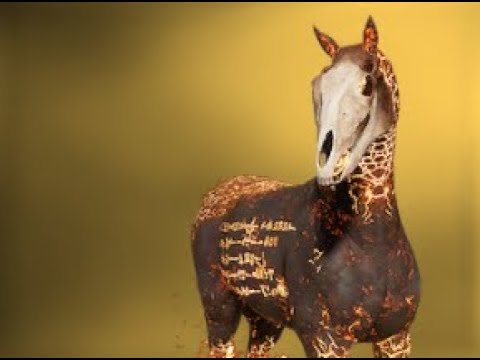 Assassin's Creed Origins - Abyssal Steed Legendary Horse (Rare ...