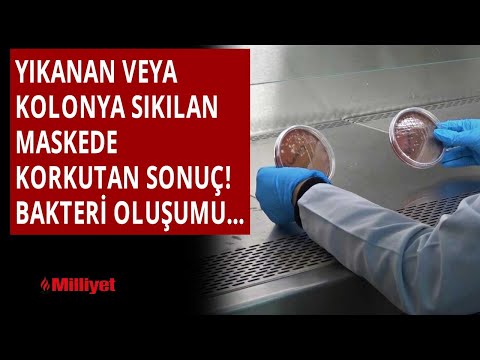 Yıkanan veya kolonya sıkılan maskede korkutan sonuç! Bakteri oluşumu...