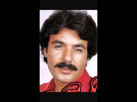 Ferdi Tayfur - sevda yelleri ( slayt )