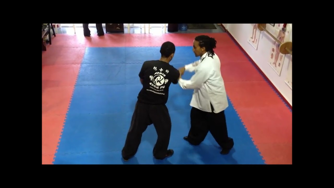 Chen Pan Ling Tai Chi Chuan applications basiques de la forme 99 Ling ...