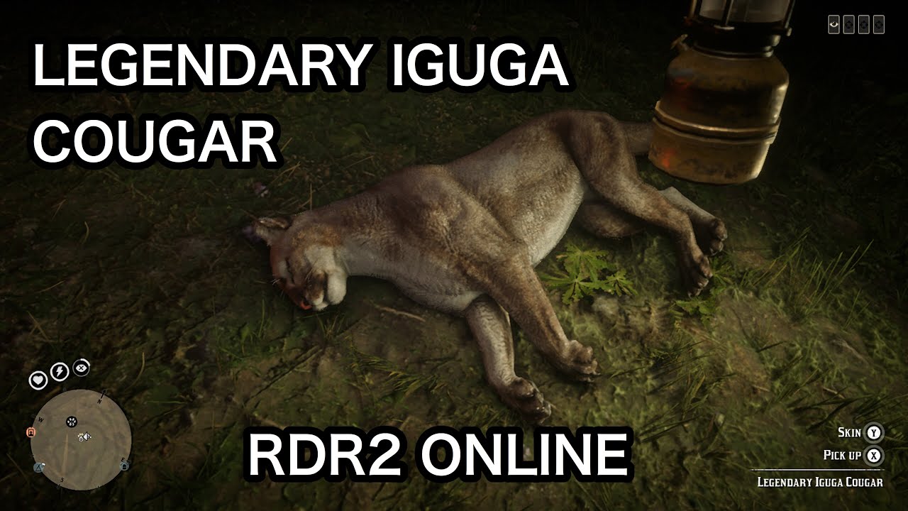 LEGENDARY IGUGA COUGAR RED DEAD REDEMPTION 2 ONLINE - YouTube