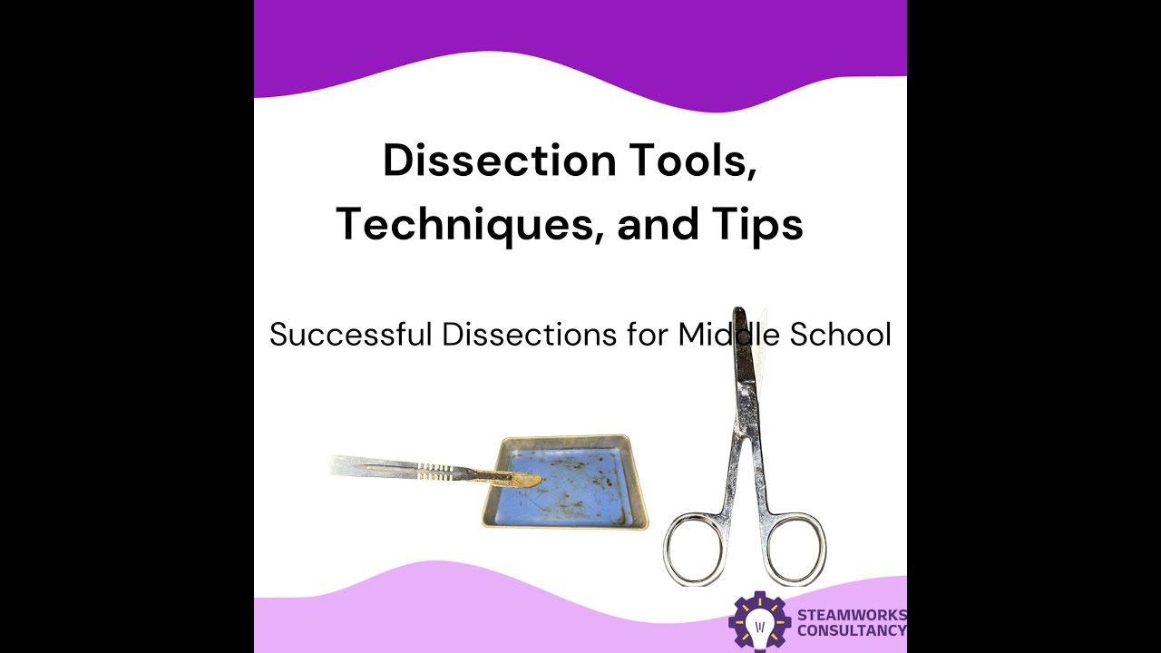 Dissecting Tools, Techniques, and Tips How to Change a Scalpel Blade ...
