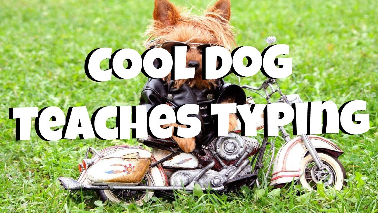 How To Type The Bestest! | Cool Dog Teaches Tipyng | Ep #1 - YouTube