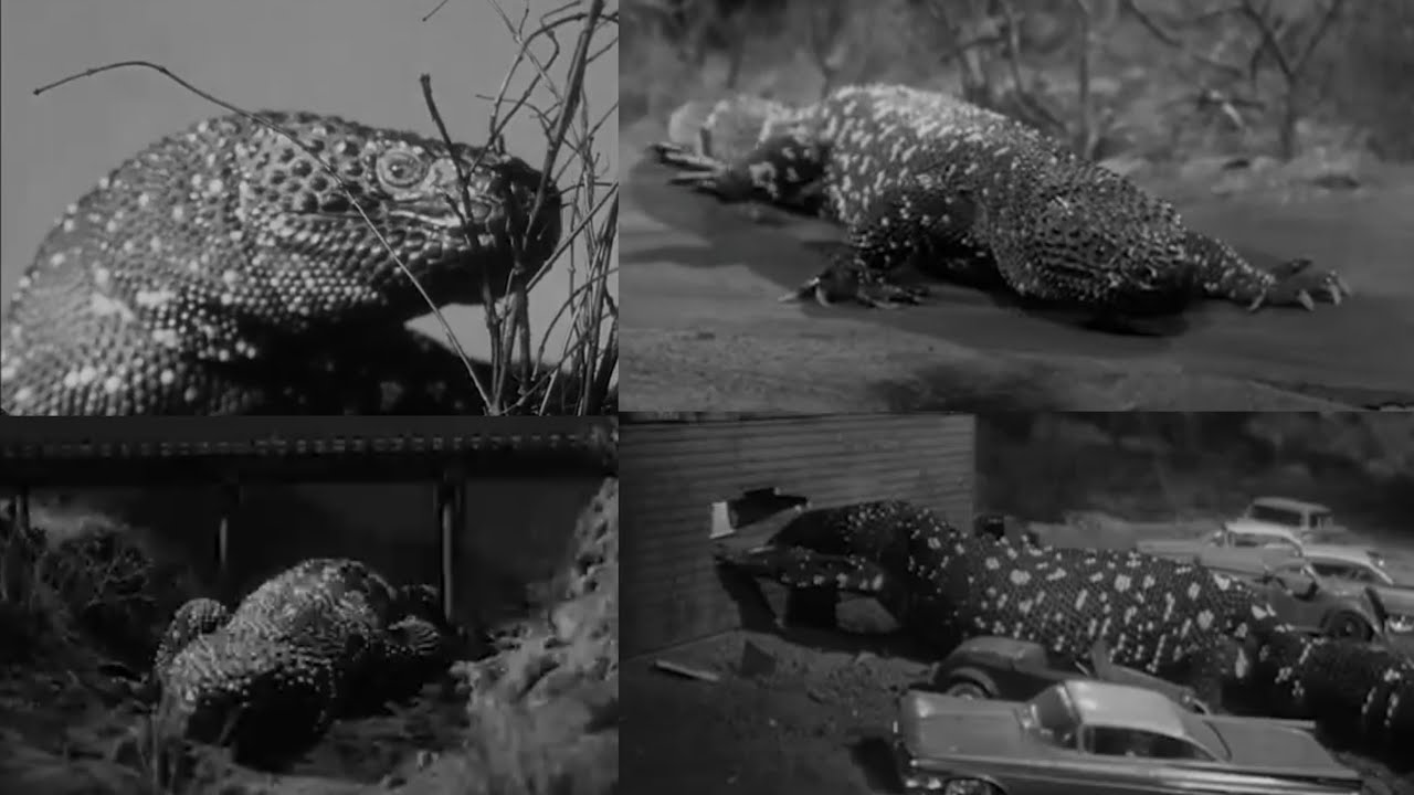 The Giant Gila Monster [1959] - Giant Gila Monster Screen Time - YouTube