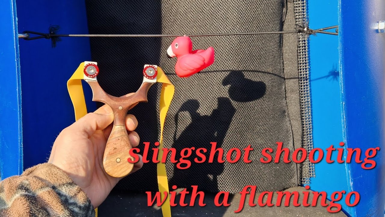 Slingshot shooting with a flamingo, full butterfly slingshot shooting ...