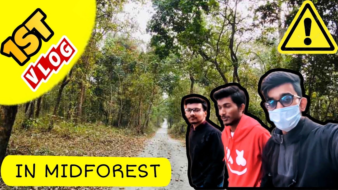 VLOG IN THE MIDFOREST || DAILY VLOG : 01 || BEKAR VLOG || #dailyvlog - YouTube