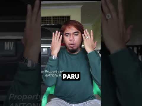 penjelasan menyilangkan ayan burma atau birma || ANTONI PJF MEDAN