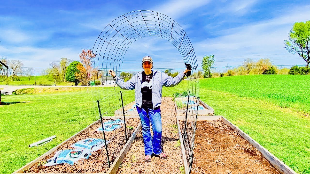 Our Cattle Panel Garden Trellis - YouTube
