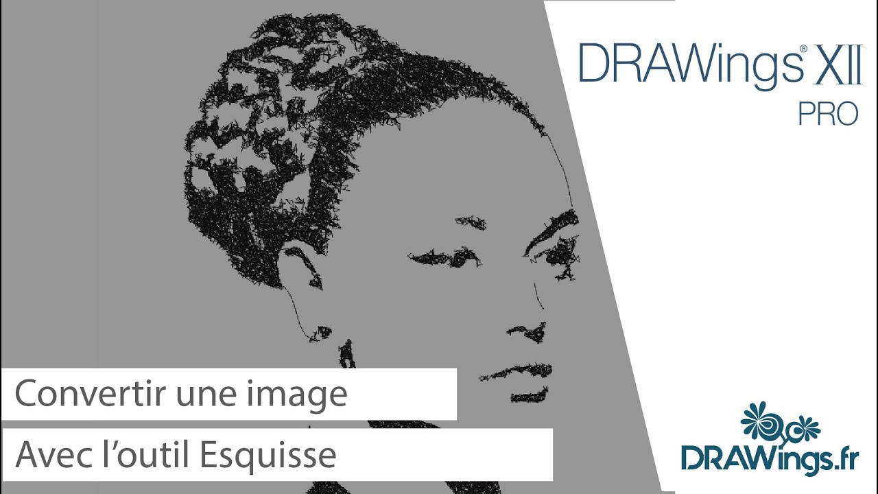 DRAWings XII - Logiciel de broderie - Le Point d'Esquisse - YouTube