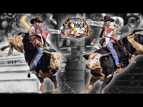 Pressão do Touro ACESSO NEGADO 🐂💸 A Estrela do Carna Roça 2026