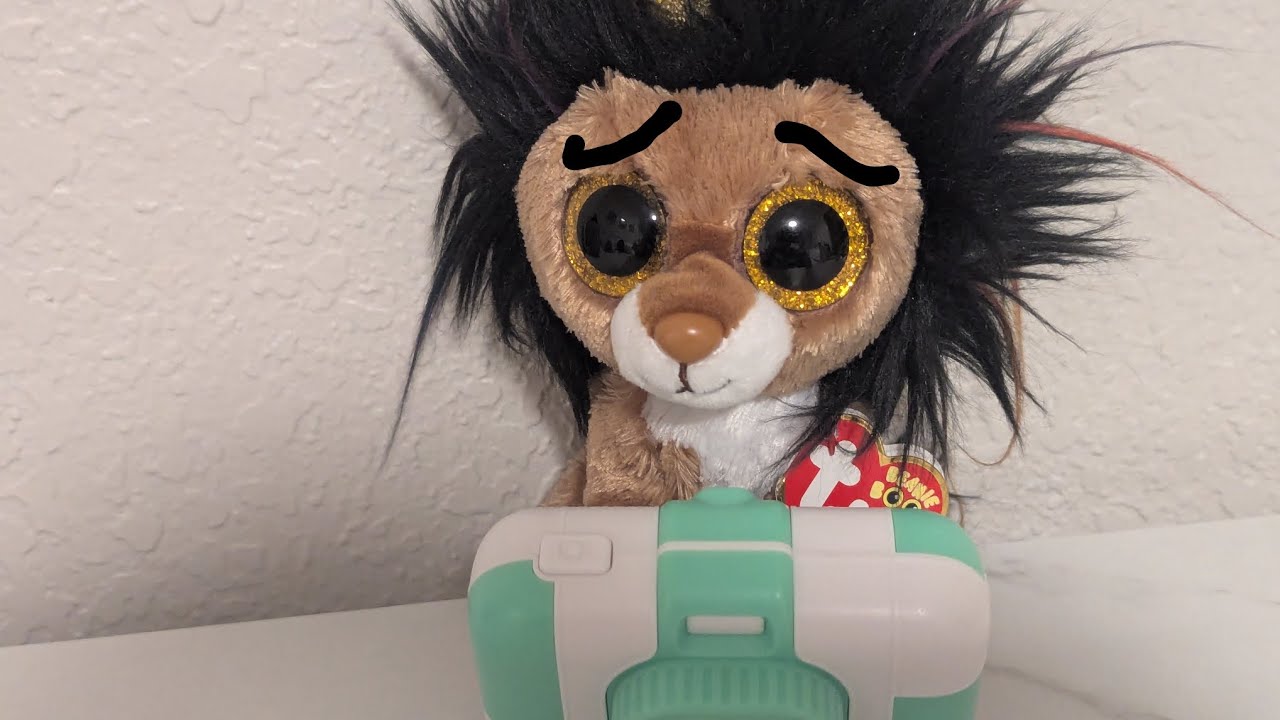 THE PHOTOGRAPHER (Weird beanie boo skit) - YouTube