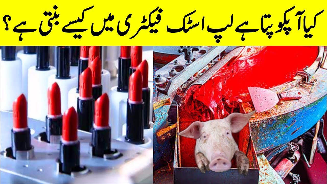 See how these things are made from machines in the factory | SpeakOut ...