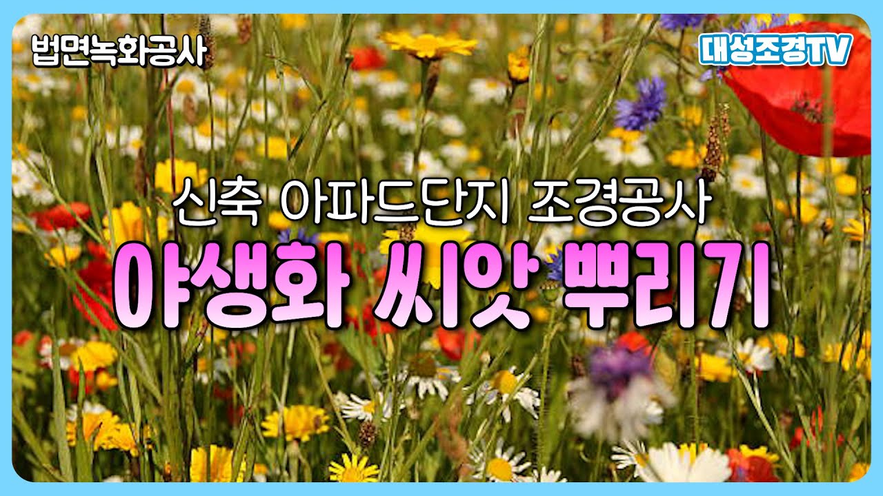 대성조경 시드스프레이 씨드스프레이 코아씨드 코아씨딩 시드스프레이 씨드스프레이 씨딩공사 Youtube