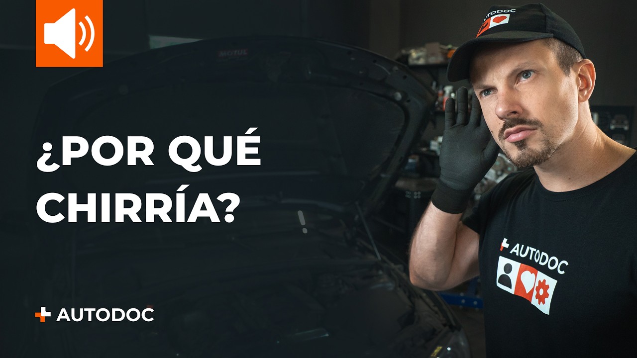 Top 5 Razones por las que tu Coche Chirría | Consejos AUTODOC - YouTube
