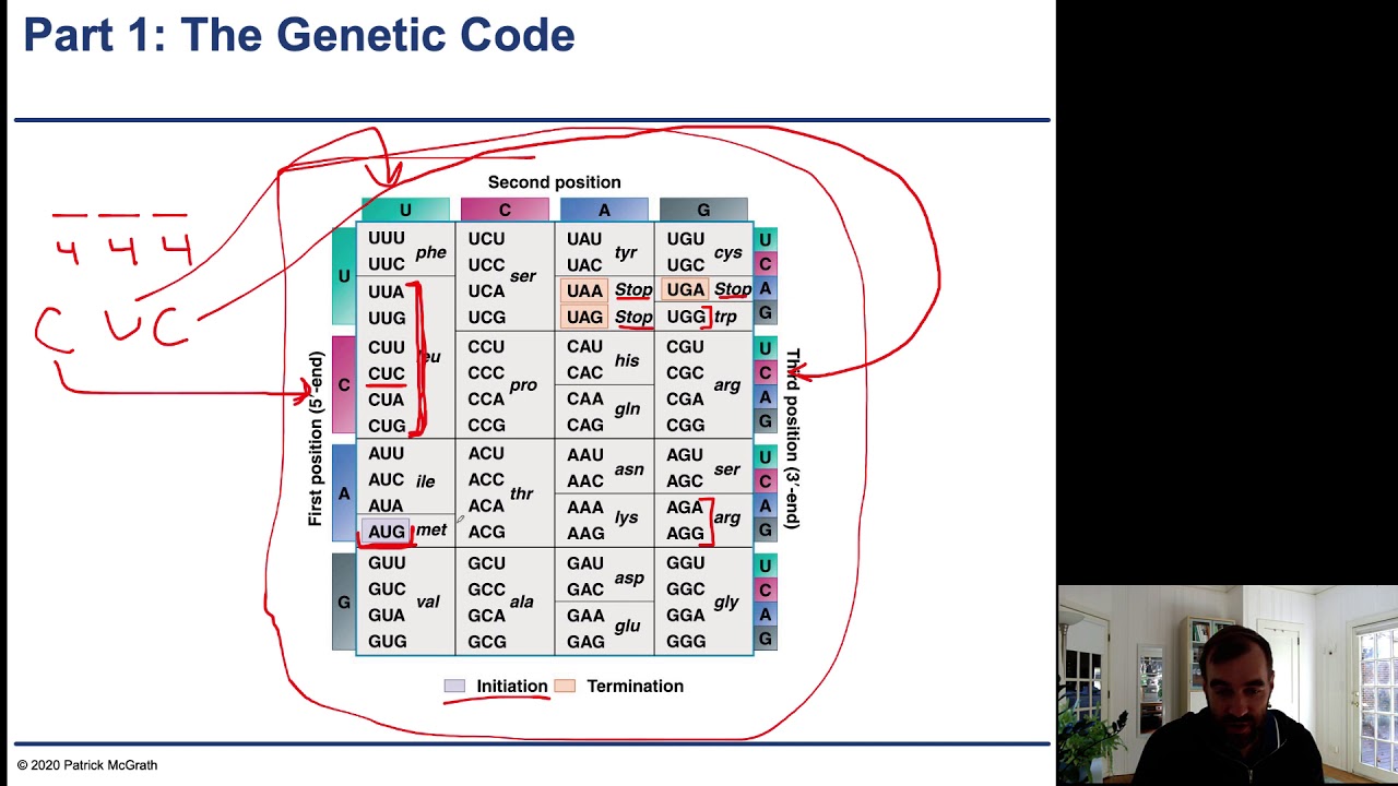 Chapter13 - 1 - GeneticCode - YouTube