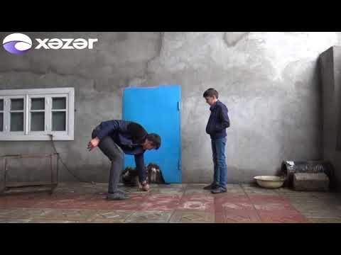 Həyətinə düşən yaralı qartalı sağaltdı və bəslədi, indi təbiətə buraxmaq istəyir