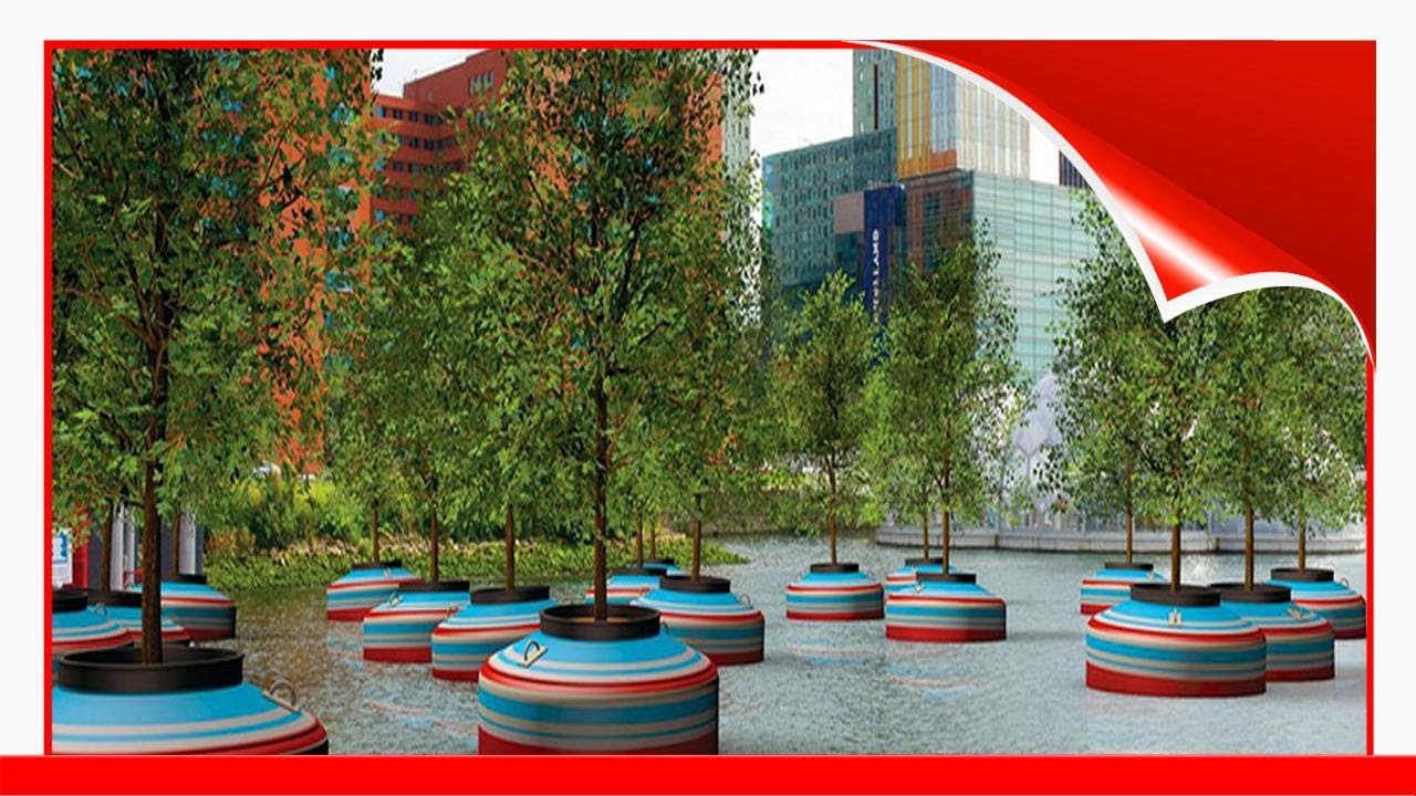 A Floating Forest To Be Installed In Rotterdam 🔥 - YouTube