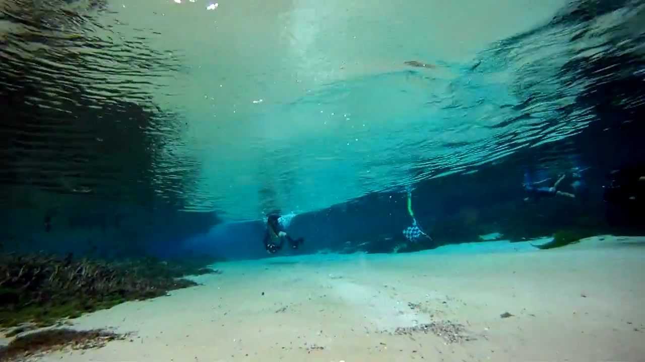 Friend Sets Women's World Underwater Speed Record - YouTube