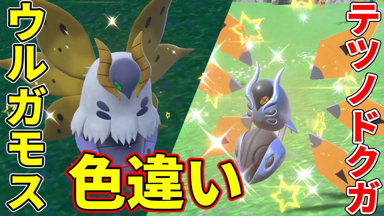 【ポケモンsv】色ウルガモスとテツノドクガを同時厳選【ゆっくり実況】 Youtube