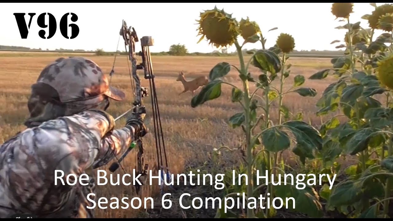 Bow Hunting Roe Bucks In Hungary, Season 6 Compilation V98 - YouTube