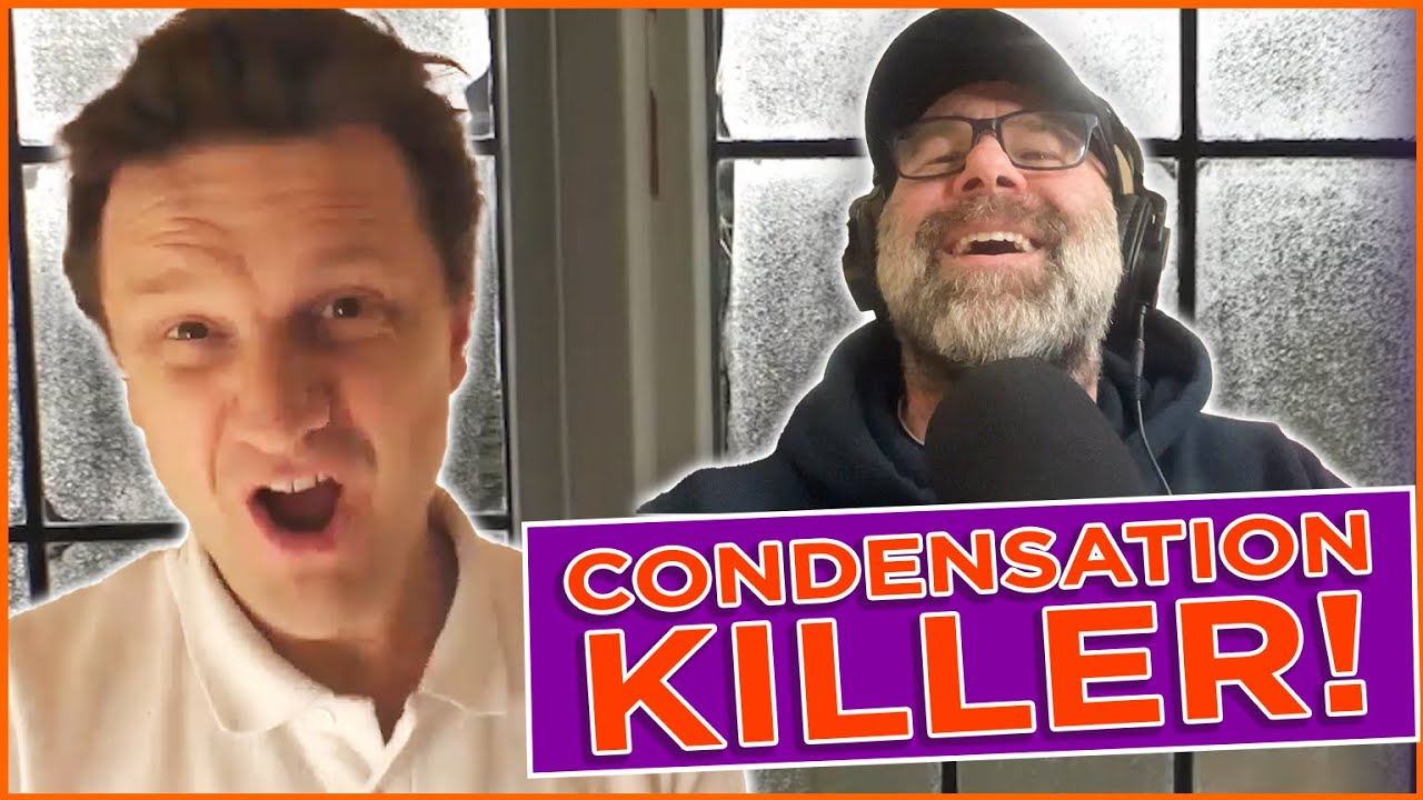 How To Remove and Prevent Condensation! - Damp Sam Reacts - YouTube