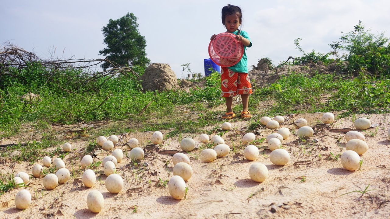 Amazing Catching Eggs | Lida Meet And Catch Lot of Eggs - YouTube