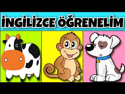 Çocuklar için İNGİLİZCE HAYVANLAR | Eğitici ve Eğlenceli Bebek ve Çocuk OYUN Videosu | Çizgi Film