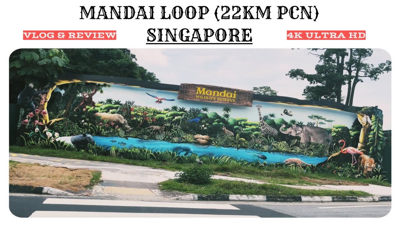 Mandai Loop in 4K UHD | Northern Explorer Loop | Singapore Cycling ...