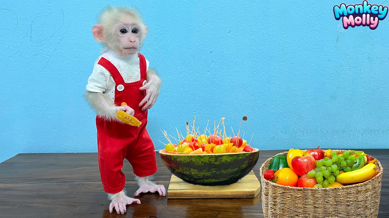 Monkey Molly curiously enjoys the fruit dishes mom makes - YouTube
