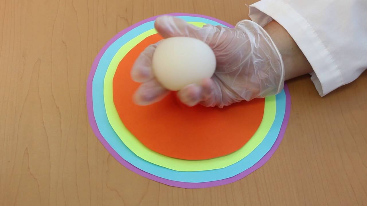 DIY Science: Make an Egg Bounce - YouTube
