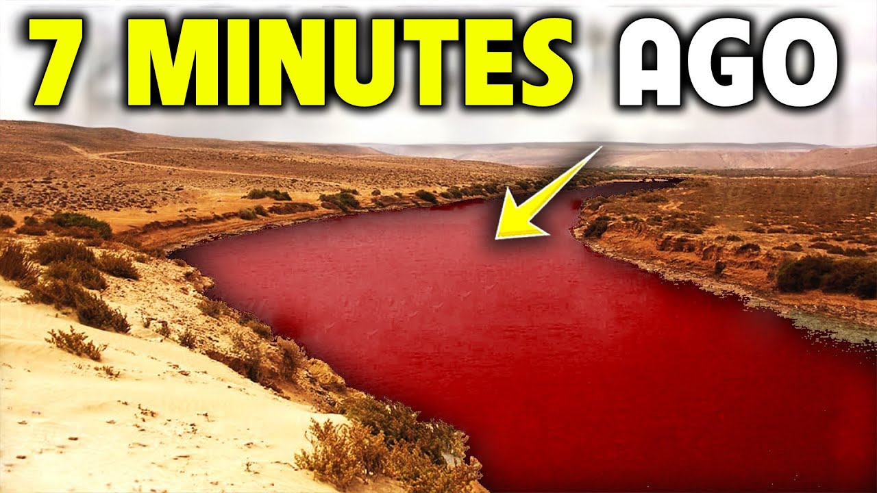 Dead Sea Has FINALLY Dried Up But Now Something Has Emerged! - YouTube