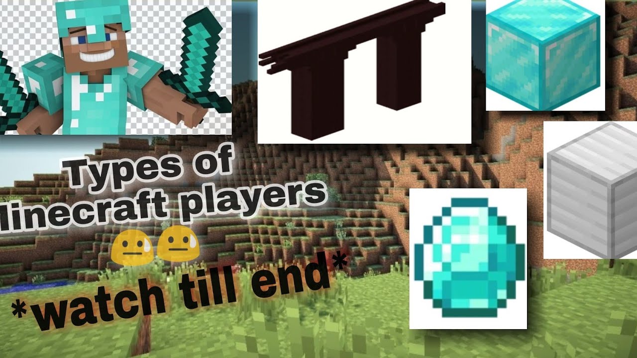 Types of Minecraft players mcpe [bedrock edition] 1.16.200 - YouTube