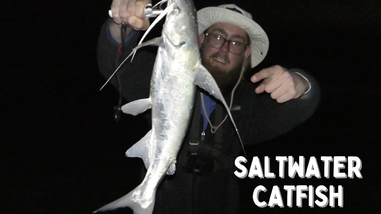 Night Fishing For Giant SALTWATER CATFISH On The Surf | SAND KEY BEACH ...