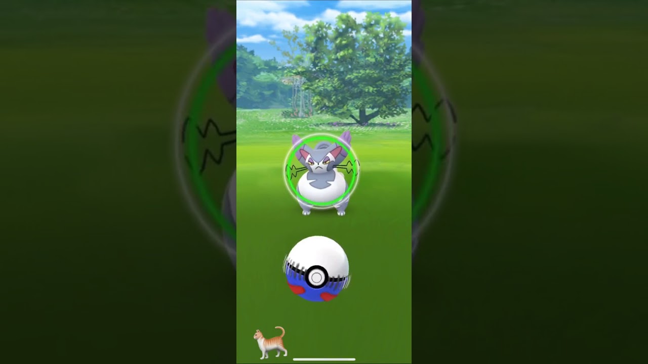 Pokemon Purugly Cat Captured in Pokemon Go! - [Pure Ugly?] - YouTube