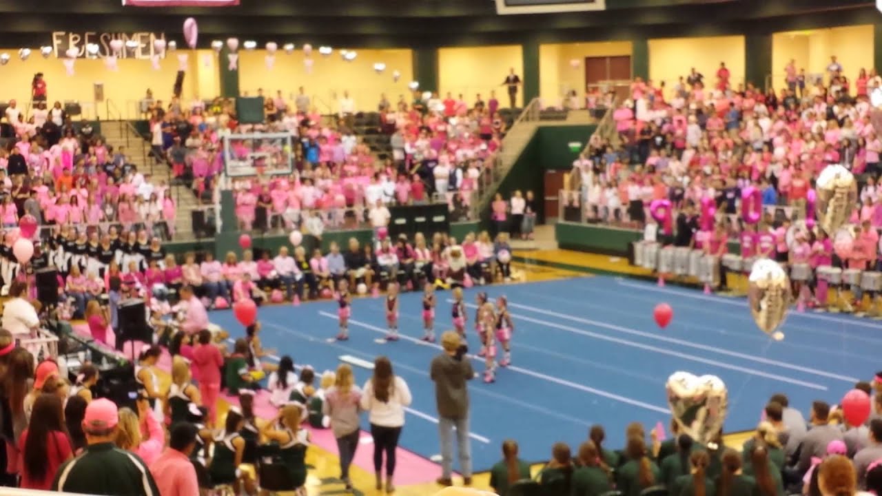 Pink Panthers at Prosper Pep Rally 10/31/2014 - YouTube