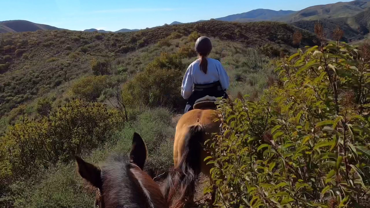 Headed to the cliff! ️ Go Pro Hero 8 - horseback riding - Chest Mount ...