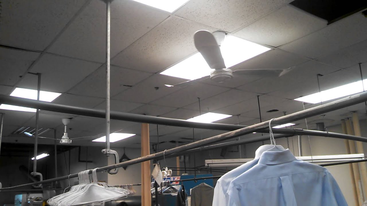 Dry Cleaners Ceiling Fan Replacement & Remodeling - After - YouTube