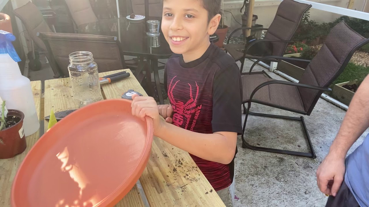 How to make a butterfly puddle - YouTube