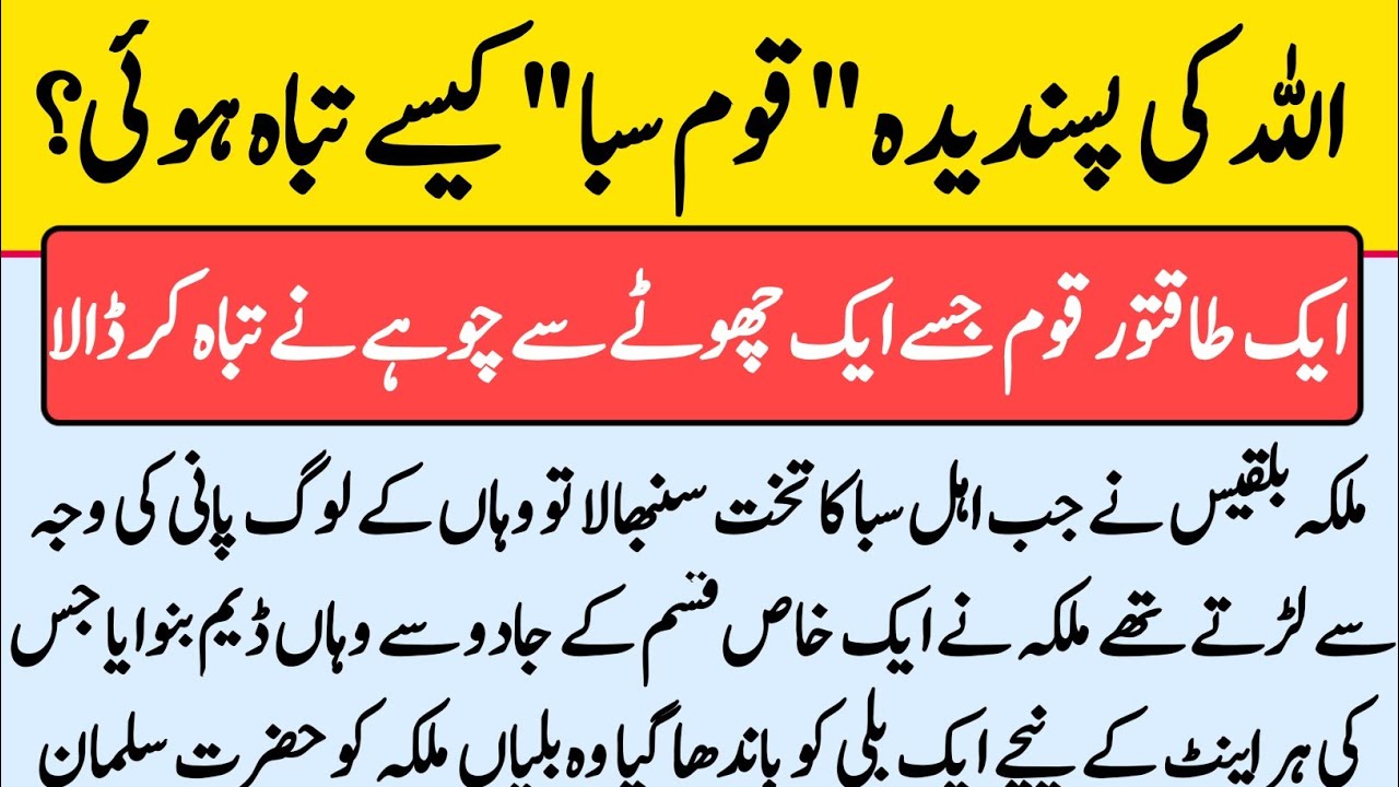When and why Allah created the animal Chachundar | Shrew | How he ...