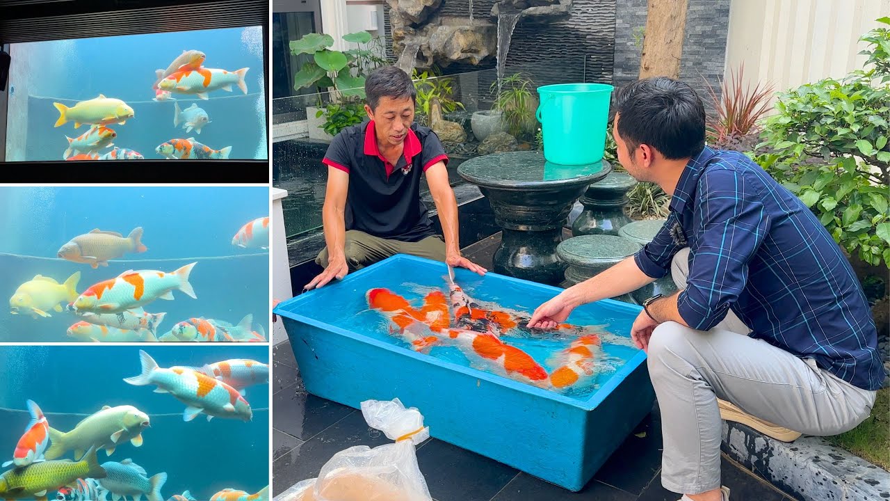 One of the BEST KOI FISH POND DESIGN I've EVER SEEN !!! - YouTube