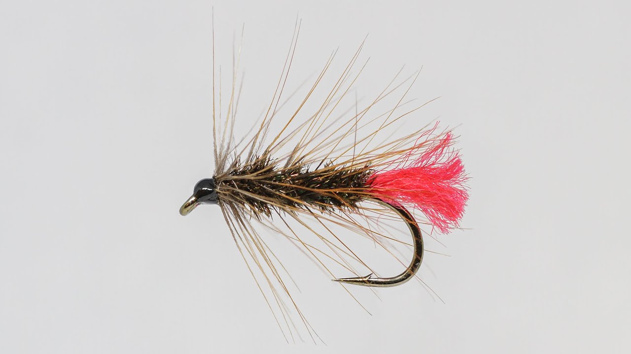 Fly Tying - Palmered Red Tag - YouTube