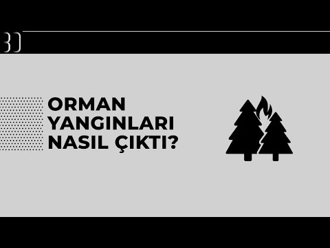 Orman yangınları nasıl çıktı? | Nasıl algı yapılıyor? | Sizi bastığınız yer bile kabul etmeyecek!
