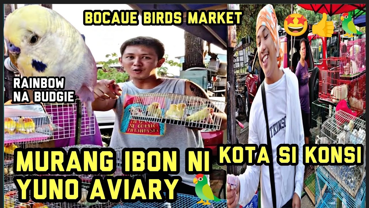 #IBon Serye#Murang IBon ni Boss Yuno Aviary 🦜#Yon oh!Kota si Konsi ...