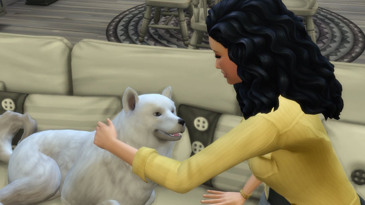 BEFRIENDING ALL THE ANIMALS // THE SIMS 4: ASPIRATIONS CHALLENGE PART ...